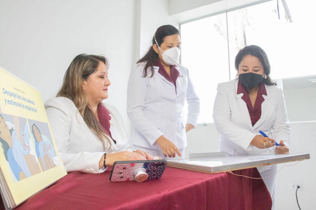 Consejo Directivo Nacional – COP – Colegio de Obstetras del Perú