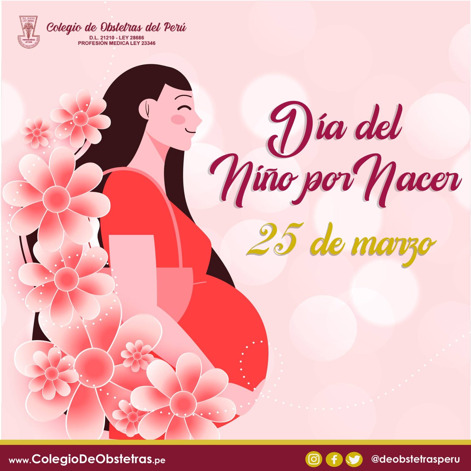 Colegio de Obstetras del Perú